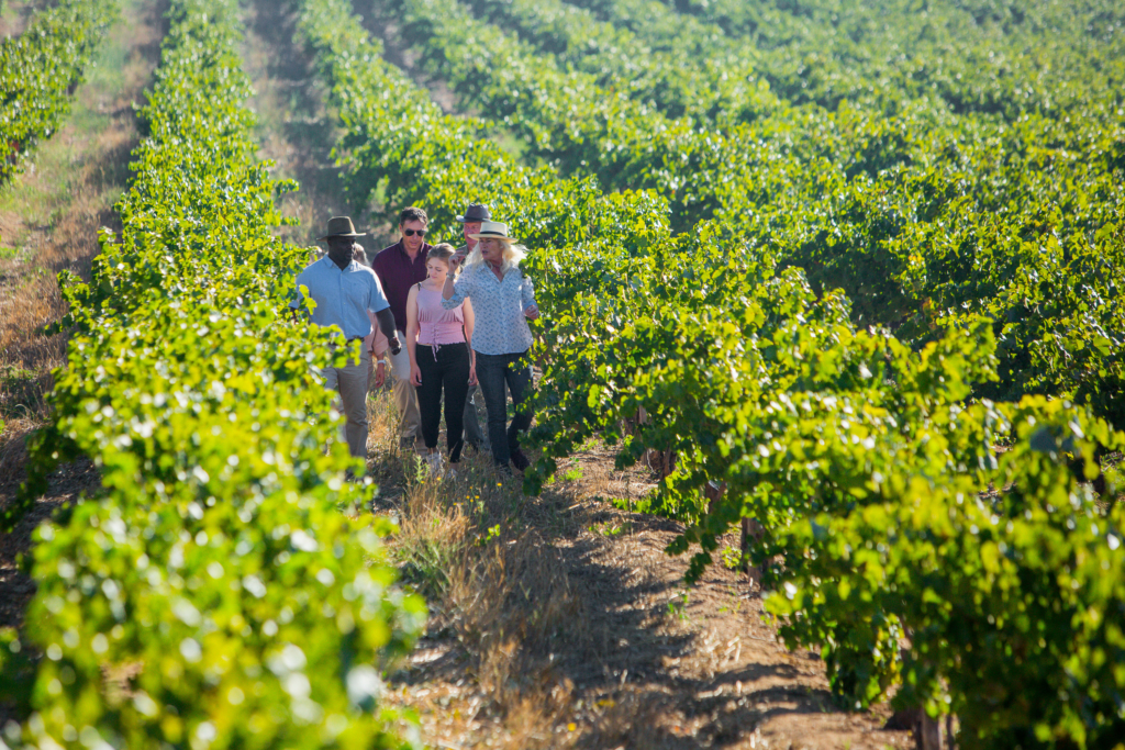 Explore Wine Regions on Our Expeditions | TCS World Travel